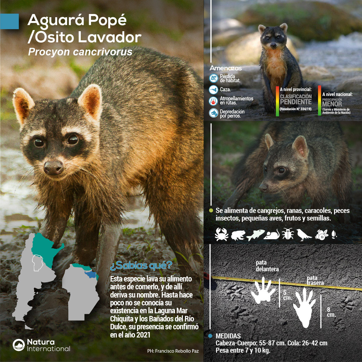 Material descargable - Natura Argentina